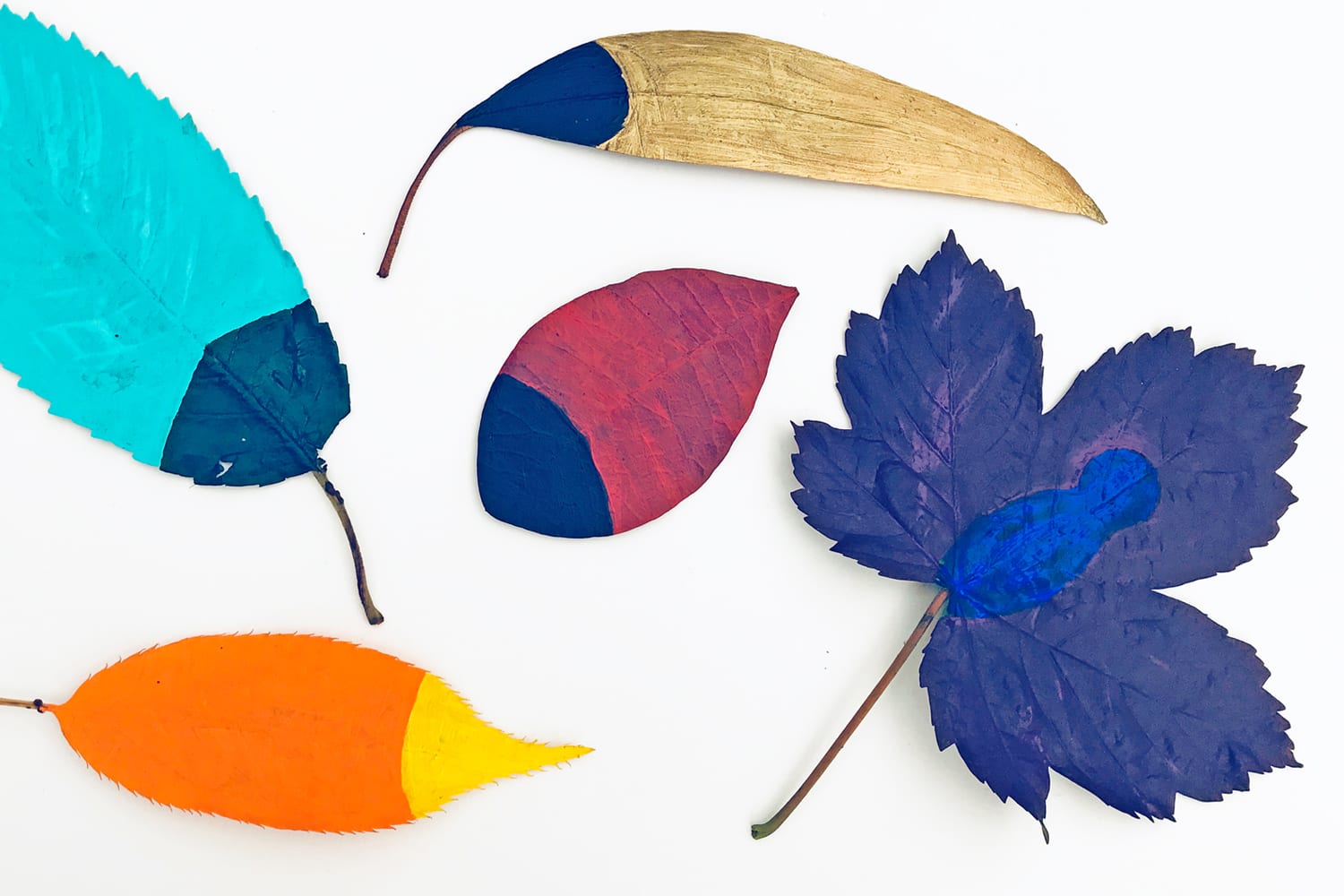 Little Leaf Bugs - Mas & Pas