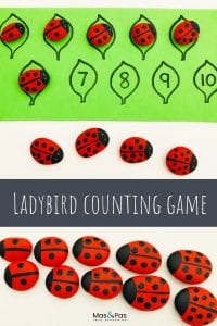 Little ladybird counting game | Learning Fun | Mas & Pas
