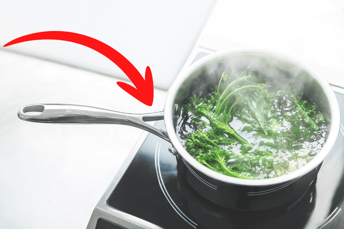 Sardel Stainless Steel Cookware Review