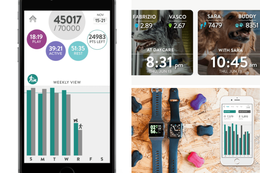 FitBark vs Whistle: Which Dog Activity and GPS Tracker is Best?