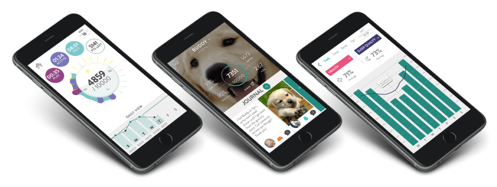 FitBark vs Whistle: Which Dog Activity and GPS Tracker is Best?