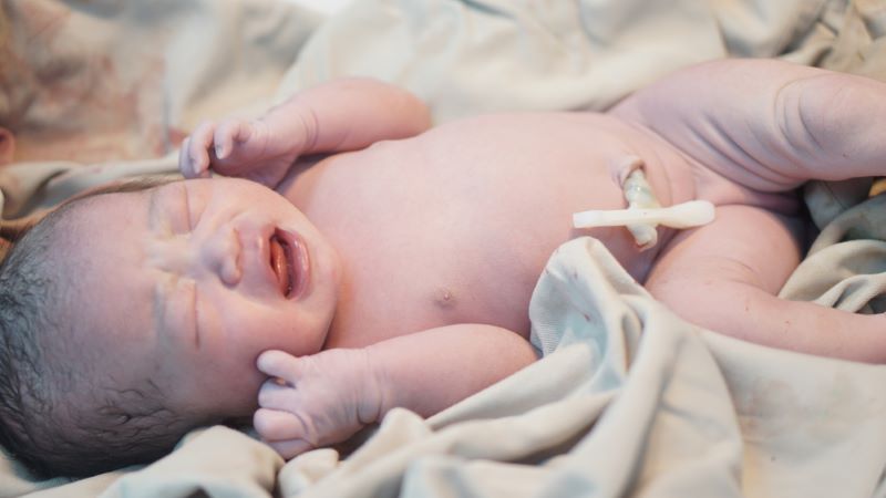 MiracleCord Review: Is This Stem Cell Preservation Worth the Cost?