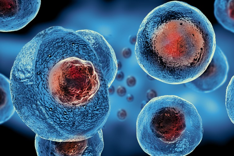 MiracleCord Review: Is This Stem Cell Preservation Worth the Cost?