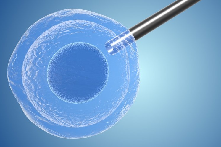 MiracleCord Review: Is This Stem Cell Preservation Worth the Cost?