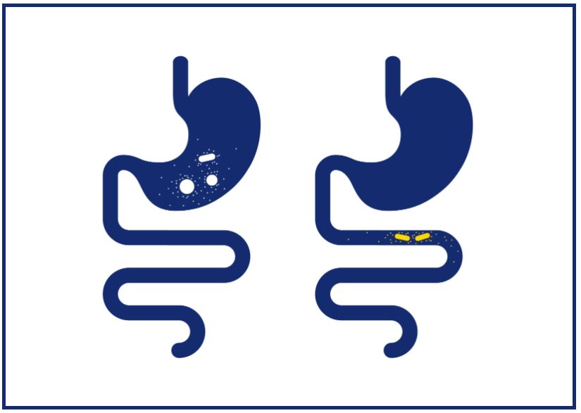 Ritual Prenatal Review: Are These Pregnancy Vitamins Worth the Hype?