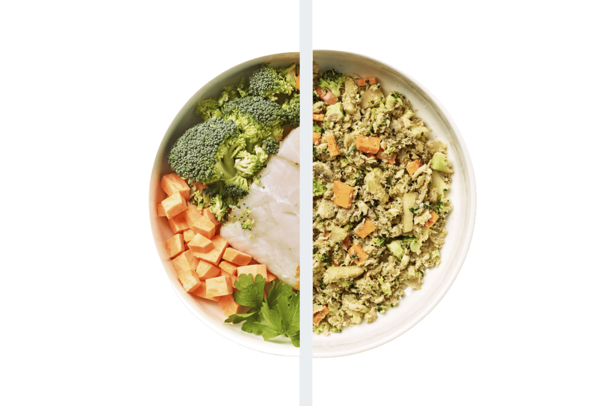 Different Dog Review: Is This The Best Dog Food Recommended by Vets?
