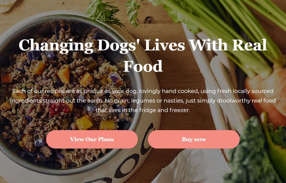 Different Dog Review: Is This The Best Dog Food Recommended by Vets?