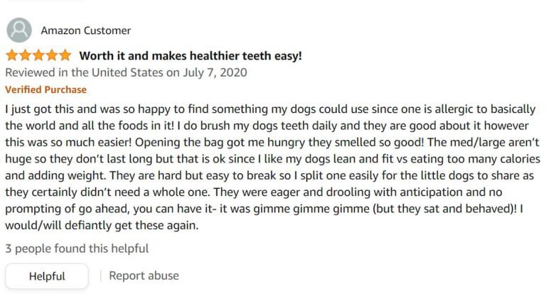 Bark Bright Review – Is This Dental Care Subscription for Dogs Worth It?